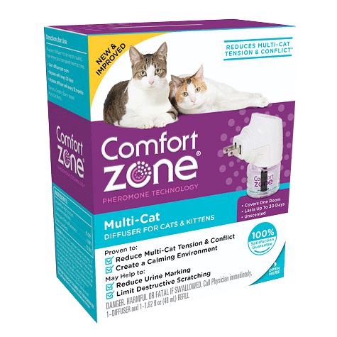 Cat Feline Behavior – The Cat Connection